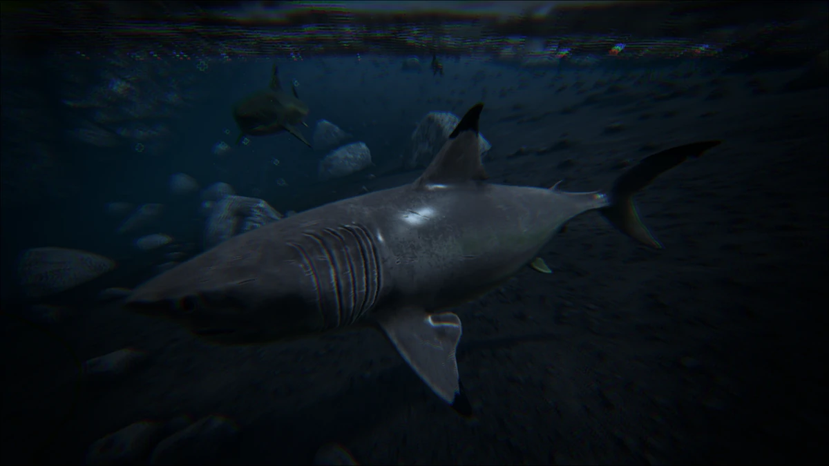 Squalicorax | Additional Creatures Wiki | Fandom