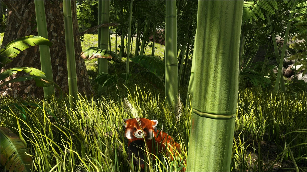 Red Panda | Additional Creatures Wiki | Fandom