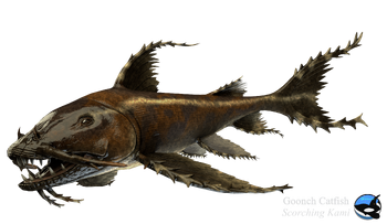 Goonch Catfish | Additional Creatures Wiki | Fandom