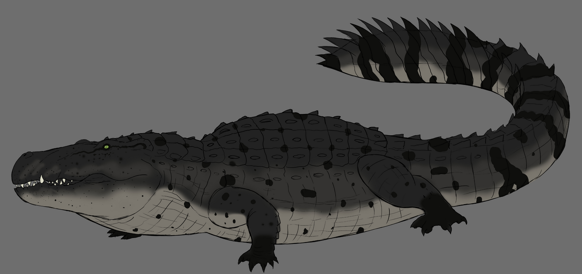 Purussaurus | Additional Creatures Wiki | Fandom