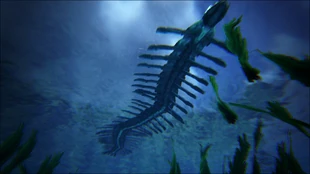 Con Rit | Additional Creatures Wiki | Fandom