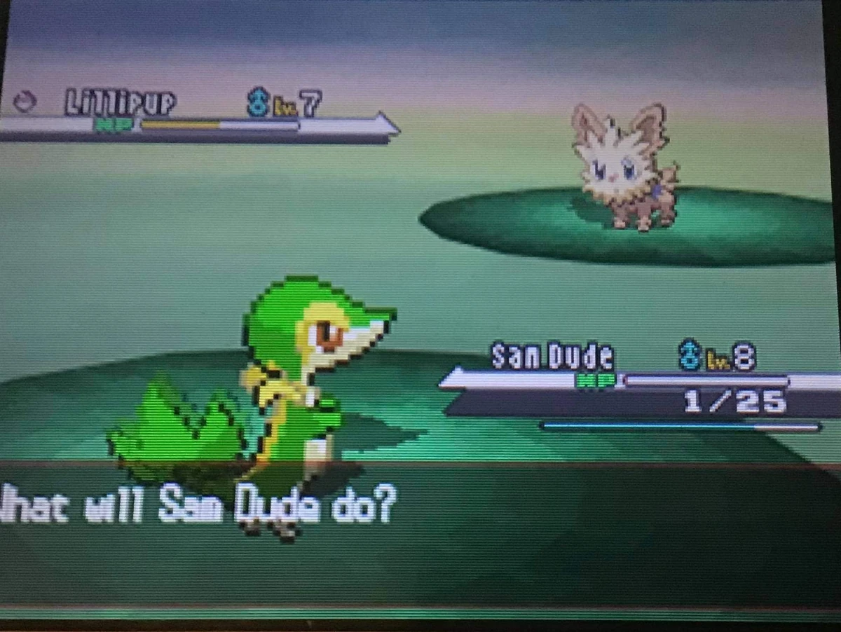 Sam Dude | OtterFan48's Wiki | Fandom