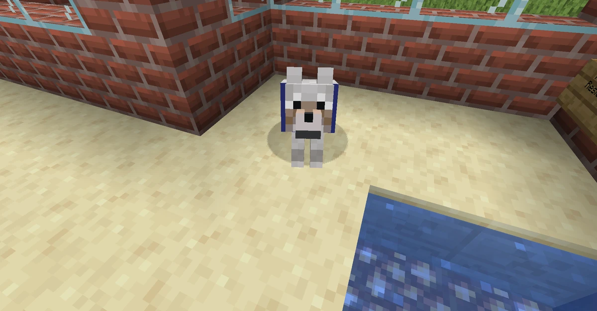 Rio (Dog) | OtterFan48's Wiki | Fandom