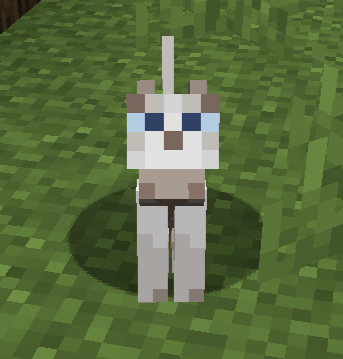 Ryan (Cat) | OtterFan48's Wiki | Fandom