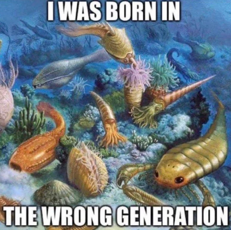 Meme, from the depths of the internet | Fandom