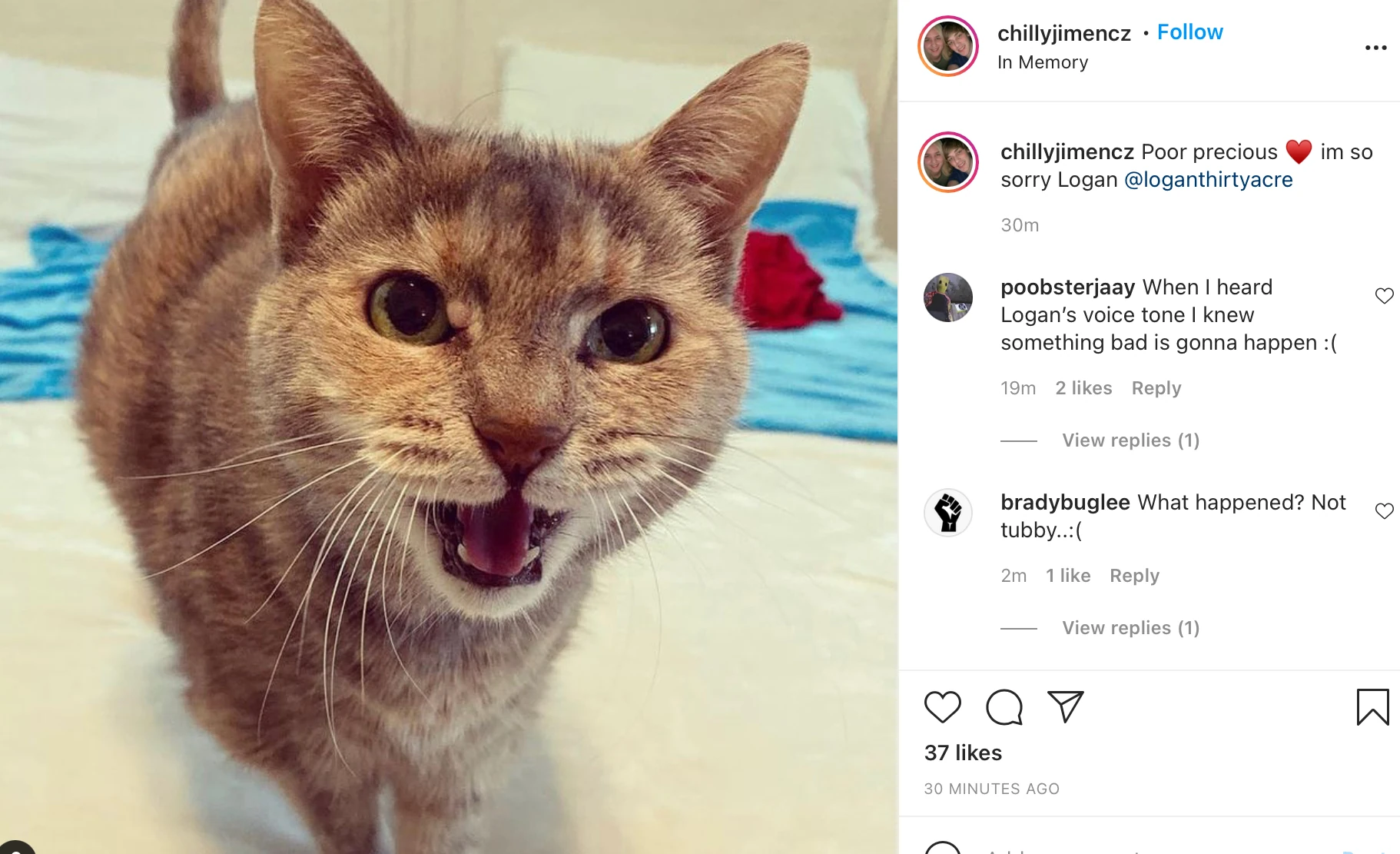 Precious is DEAD? | Fandom