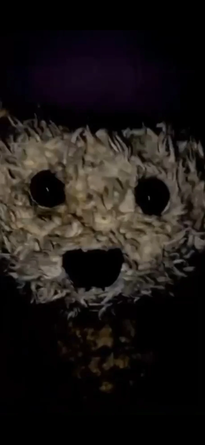 Max came back | Fandom