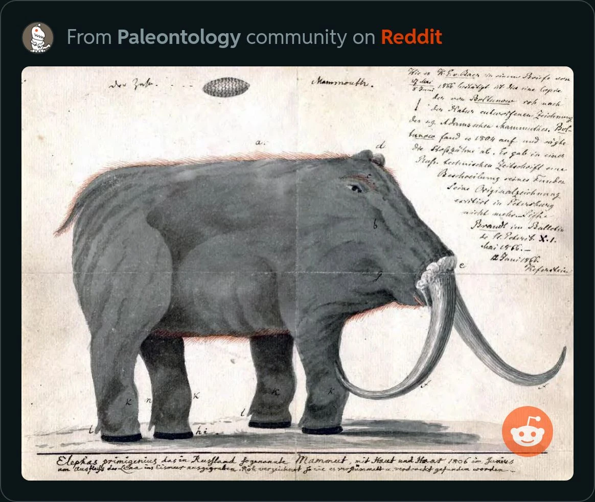 Rate these goofy animal recreations | Fandom