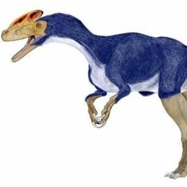 Discuss Everything About Dinopedia | Fandom