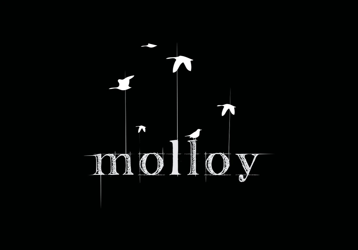 Molloy | Adelaide Music Wiki | Fandom