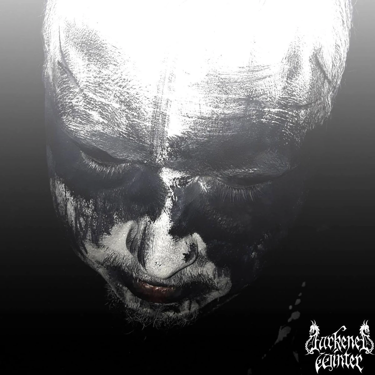 Matt Ford | Adelaide Music Wiki | Fandom