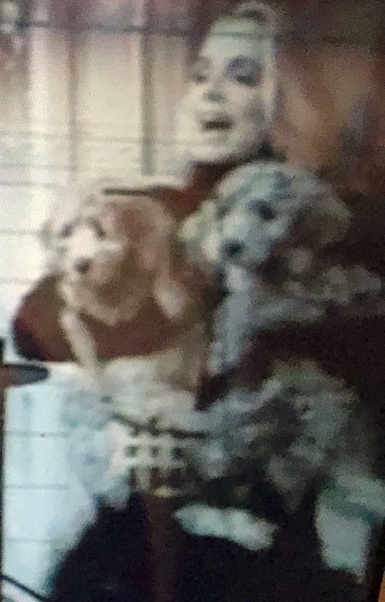 Freddie | Adele Wiki | Fandom