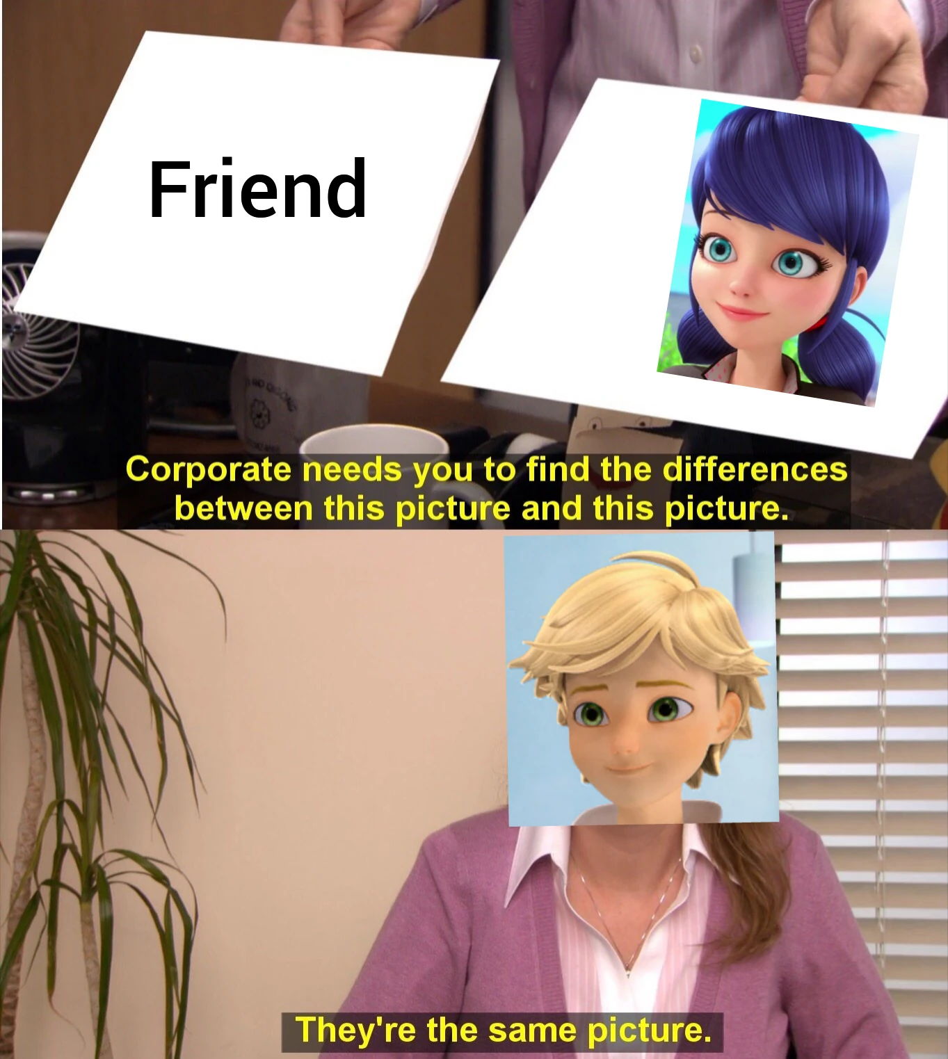 Memes day 1 | Fandom