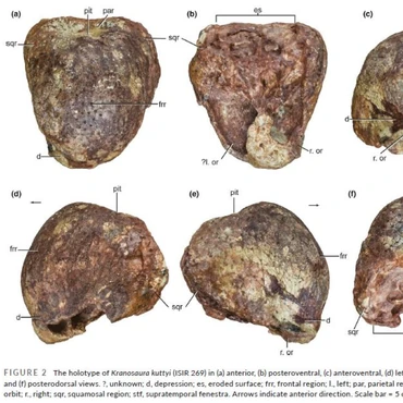Discuss Everything About Dinopedia | Fandom