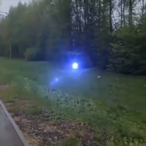 the mysterious creature of electricity | Fandom