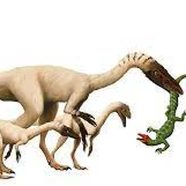 Discuss Everything About Dinopedia | Fandom