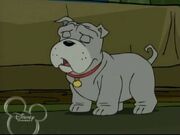 Fu Dog | American Dragon Jake Long | Fandom