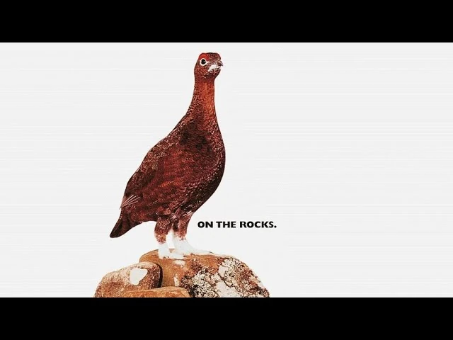 Gilbert the Grouse | The Ad Mascot Wiki | Fandom