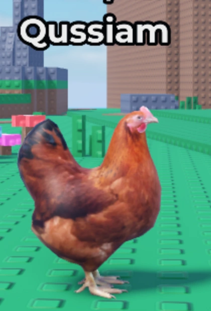 /chicken | Admin RNG Wiki | Fandom