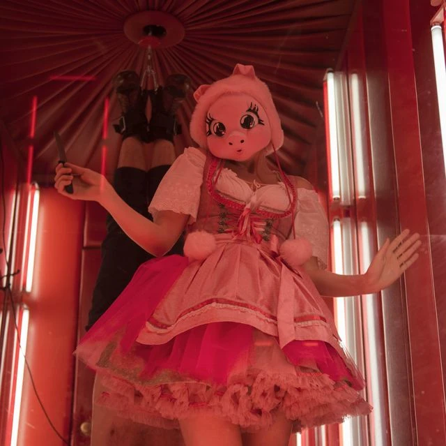 Skyzy | Community Connect | Fandom