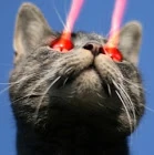 Mattk4355 | Community Connect | Fandom