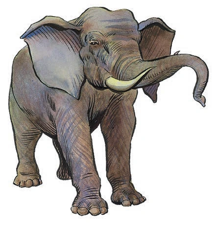 Elephant | Advanced Dungeons & Dragons 2nd Edition Wiki | Fandom