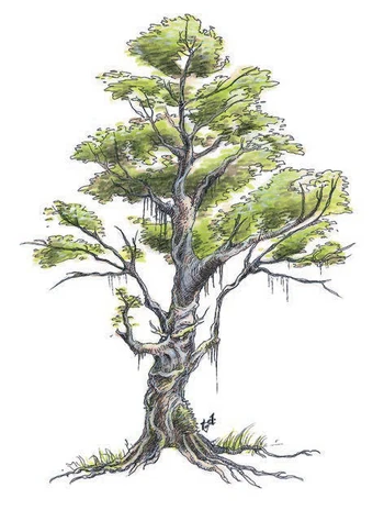 Treant | Advanced Dungeons & Dragons 2nd Edition Wiki | Fandom