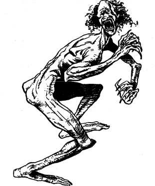 Buso | Advanced Dungeons & Dragons 2nd Edition Wiki | Fandom