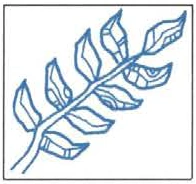 Ixtlilton (LL) | Advanced Dungeons & Dragons 2nd Edition Wiki | Fandom