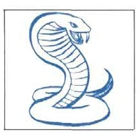 Set (LL) | Advanced Dungeons & Dragons 2nd Edition Wiki | Fandom