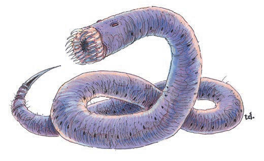 Worm (MM) | Advanced Dungeons & Dragons 2nd Edition Wiki | Fandom