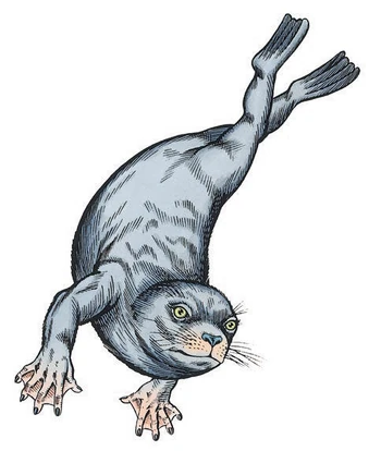Selkie (Creature) | Advanced Dungeons & Dragons 2nd Edition Wiki | Fandom