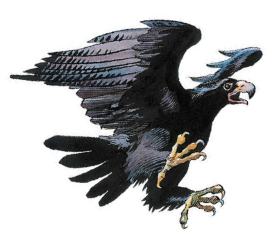 Bird | Advanced Dungeons & Dragons 2nd Edition Wiki | Fandom