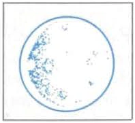 Moon (LL) | Advanced Dungeons & Dragons 2nd Edition Wiki | Fandom