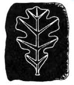 Silvanus (FA) | Advanced Dungeons & Dragons 2nd Edition Wiki | Fandom