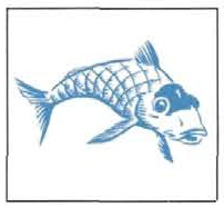 O-Wata-Tsu-Mi (LL) | Advanced Dungeons & Dragons 2nd Edition Wiki | Fandom