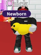 Chick | Adopt Me! Wiki | Fandom