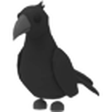 Pet Crow