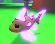 Leopard Shark | Adopt Me! Wiki | Fandom