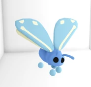 Glacier Moth | Adopt Me! Wiki | Fandom