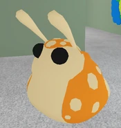 Hopbop | Adopt Me! Wiki | Fandom