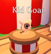 Kid Goat | Adopt Me! Wiki | Fandom