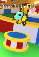 Blue Betta Fish | Adopt Me! Wiki | Fandom