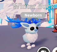 Winter Buck | Adopt Me! Wiki | Fandom