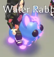 Water Rabbit | Adopt Me! Wiki | Fandom