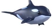 Orca | Adopt Me! Wiki | Fandom