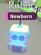Robot | Adopt Me! Wiki | Fandom