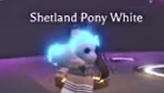 Shetland Pony White | Adopt Me! Wiki | Fandom