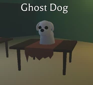 Ghost Dog | Adopt Me! Wiki | Fandom