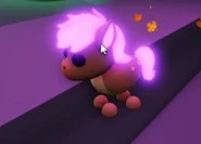 Show Pony | Adopt Me! Wiki | Fandom